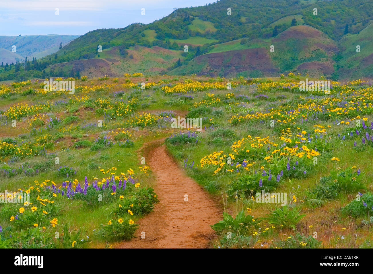 Mosier plateau hi-res stock photography and images - Alamy