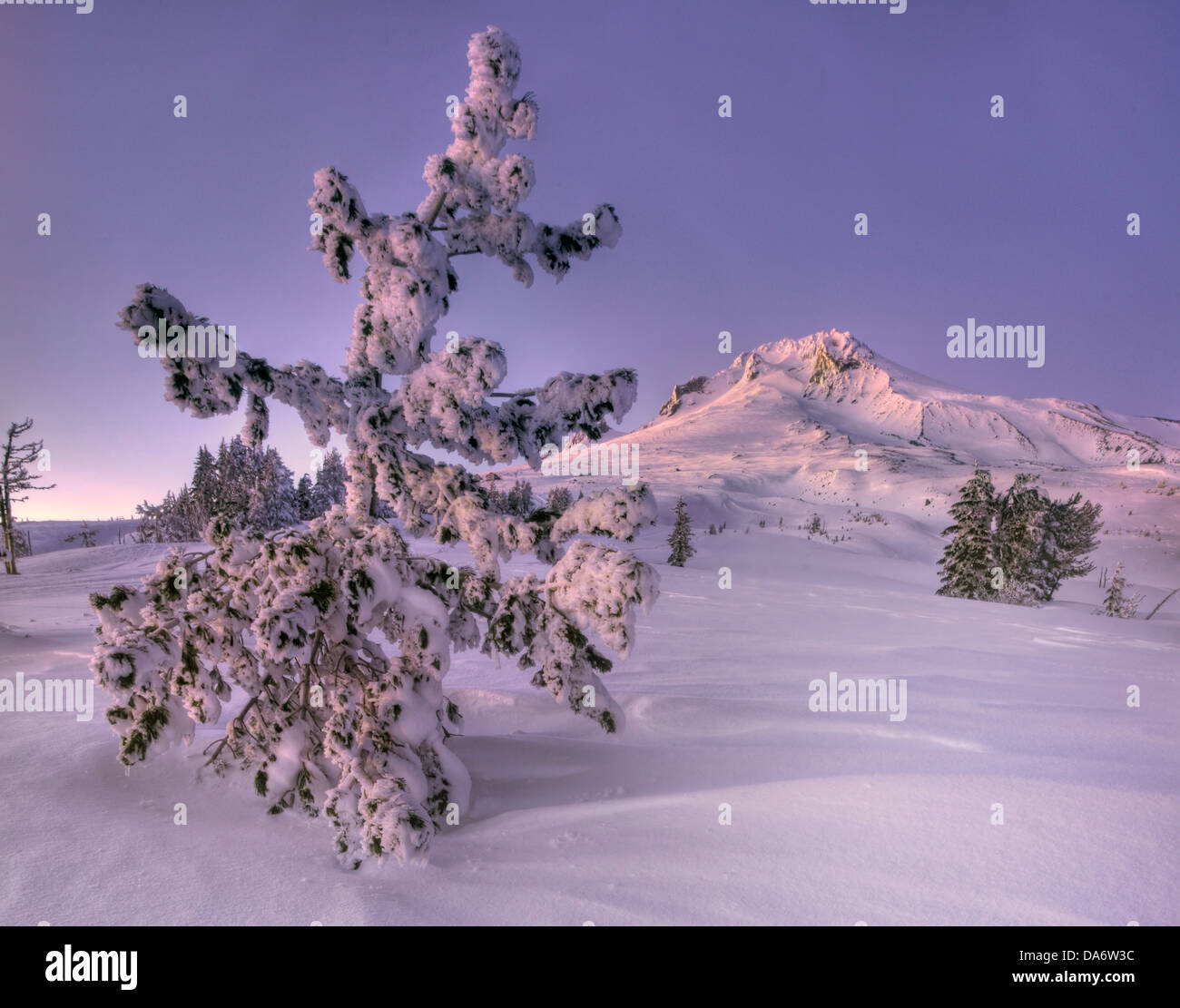 USA, United States, America, Oregon, Mount Hood, National Forest ...