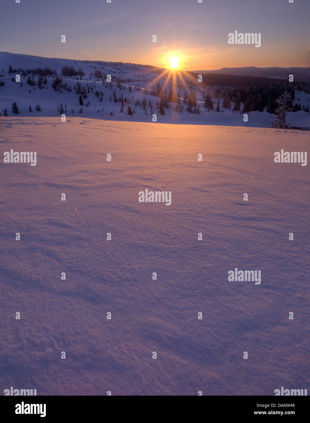 USA, United States, America, Oregon, Mount Hood, National Forest ...