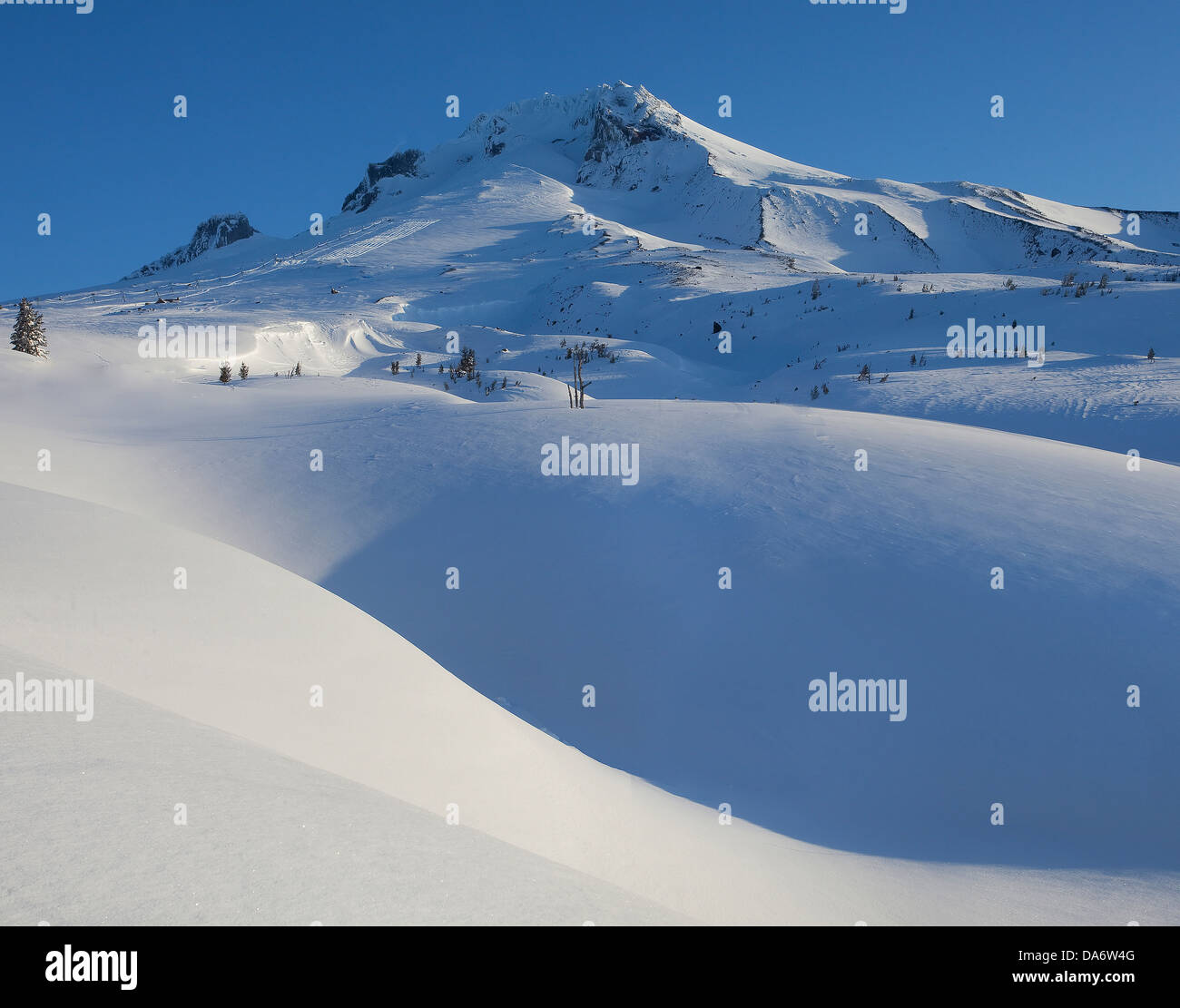 USA, United States, America, Oregon, Mount Hood, National Forest ...