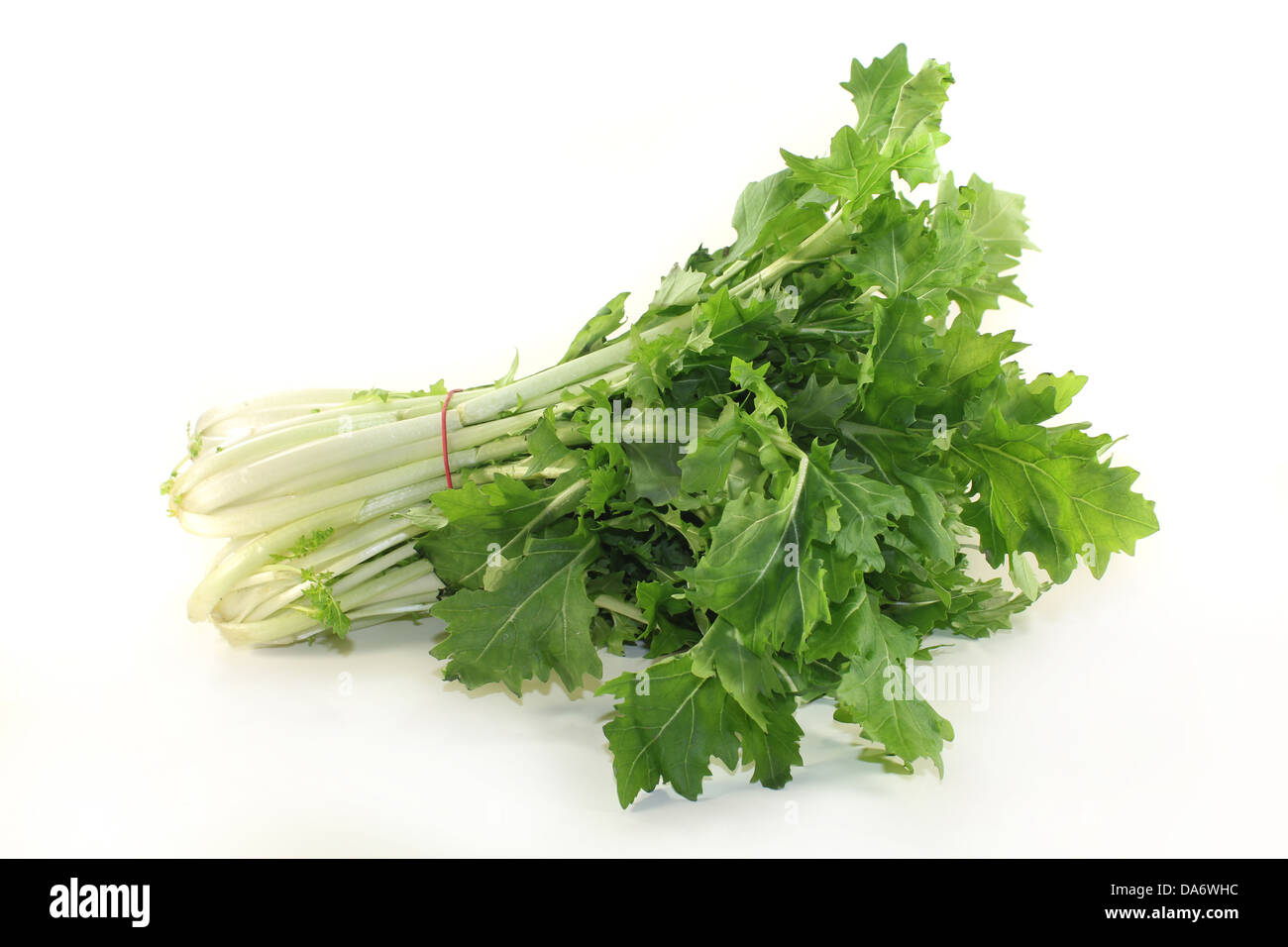 a bunch turnip greens on a white background Stock Photo - Alamy