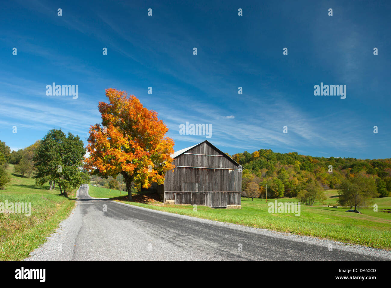 FALL FOLIAGE COUNTRY ROAD INDIANA COUNTY PENNSYLVANIA USA Stock Photo ...