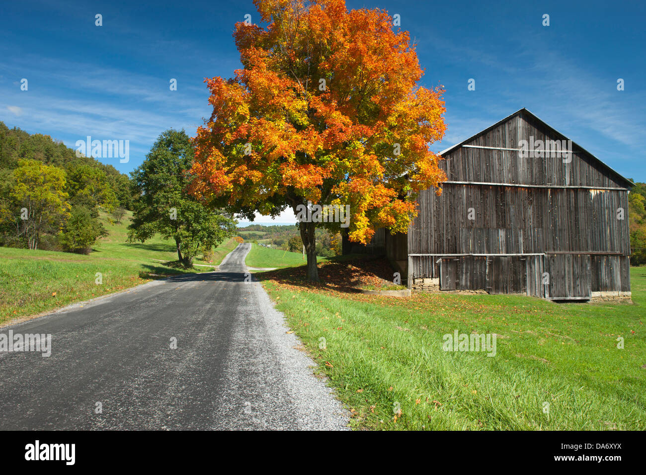 Fall foliage country road indiana hi-res stock photography and images ...
