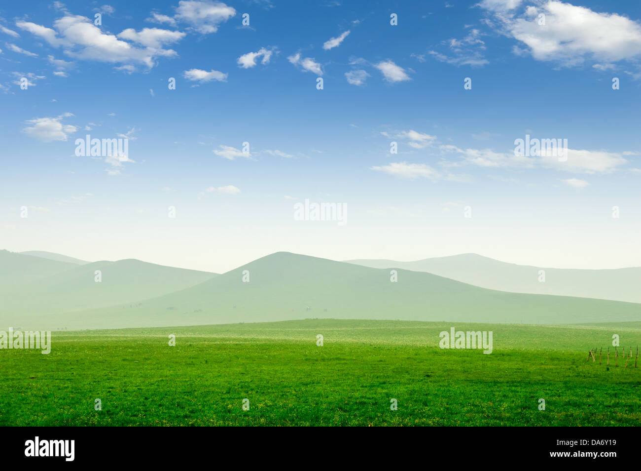 Fresh spring green grass with blue sky and wood floor background Stock ...