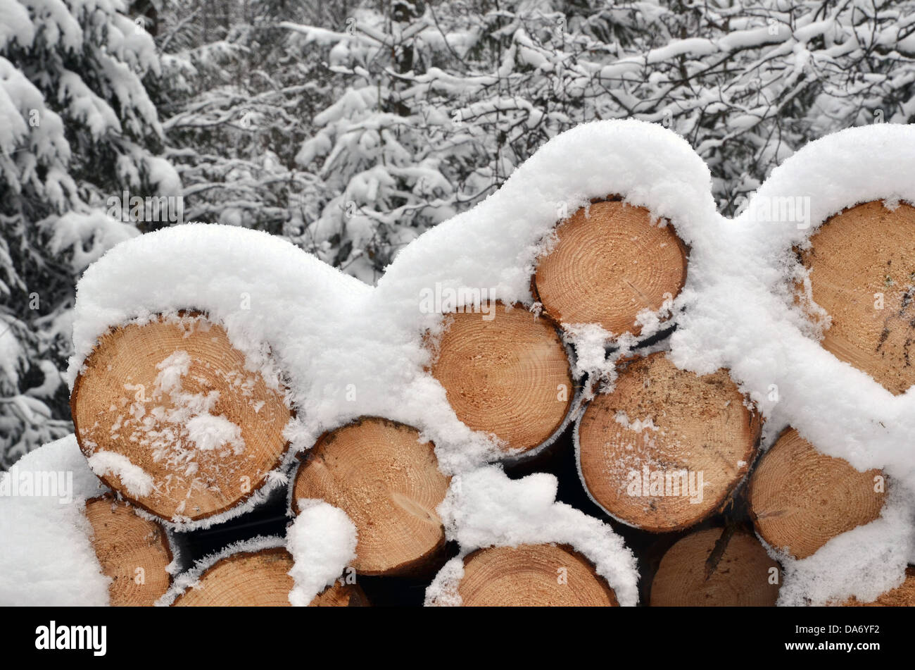 Winter timber stack Stock Photo - Alamy