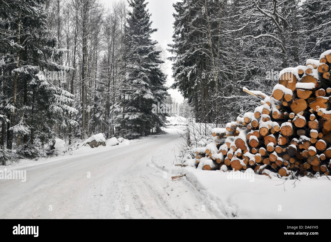 Timber stack at road Stock Photo - Alamy