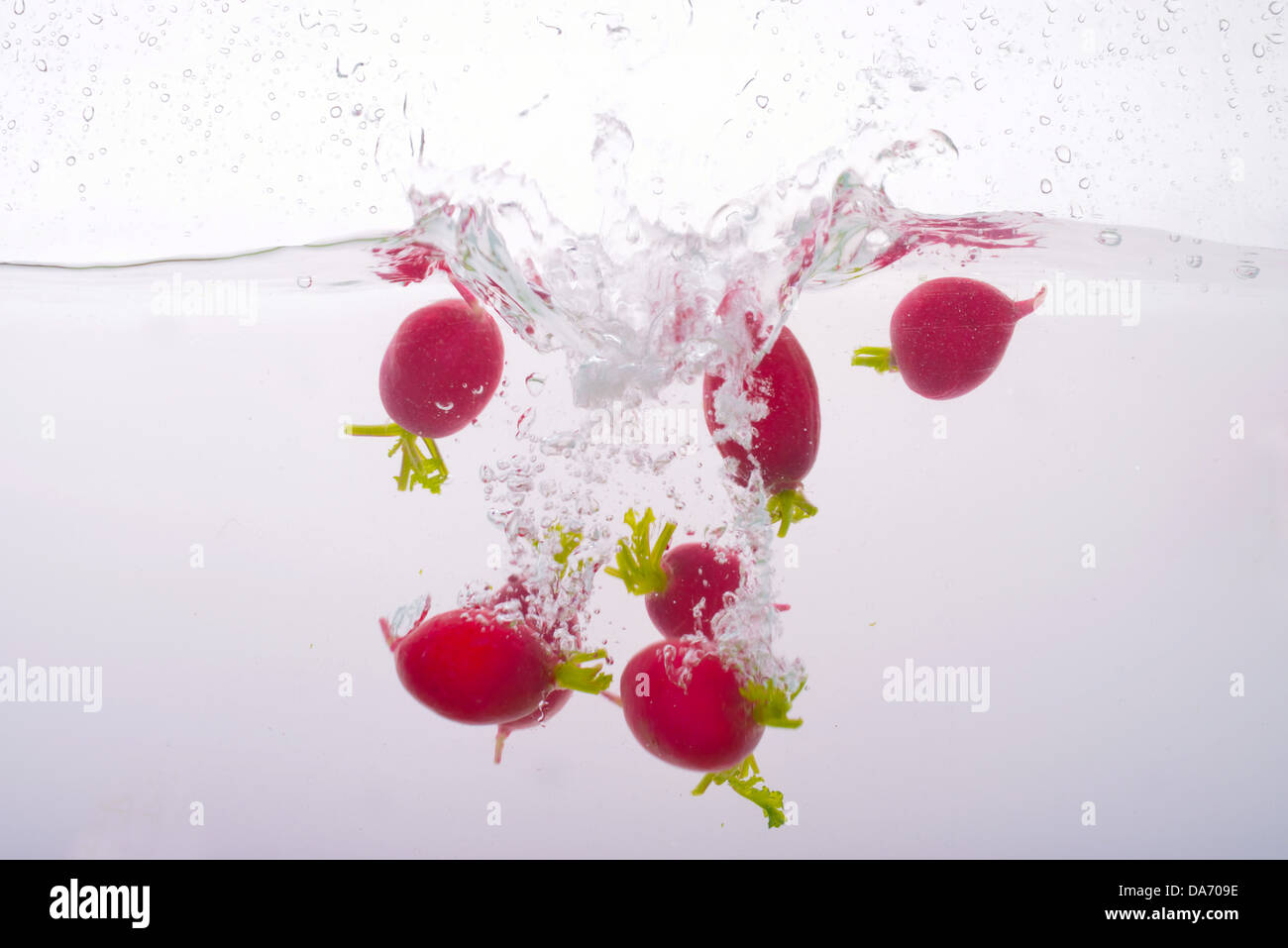 Radishes in water Stock Photo - Alamy