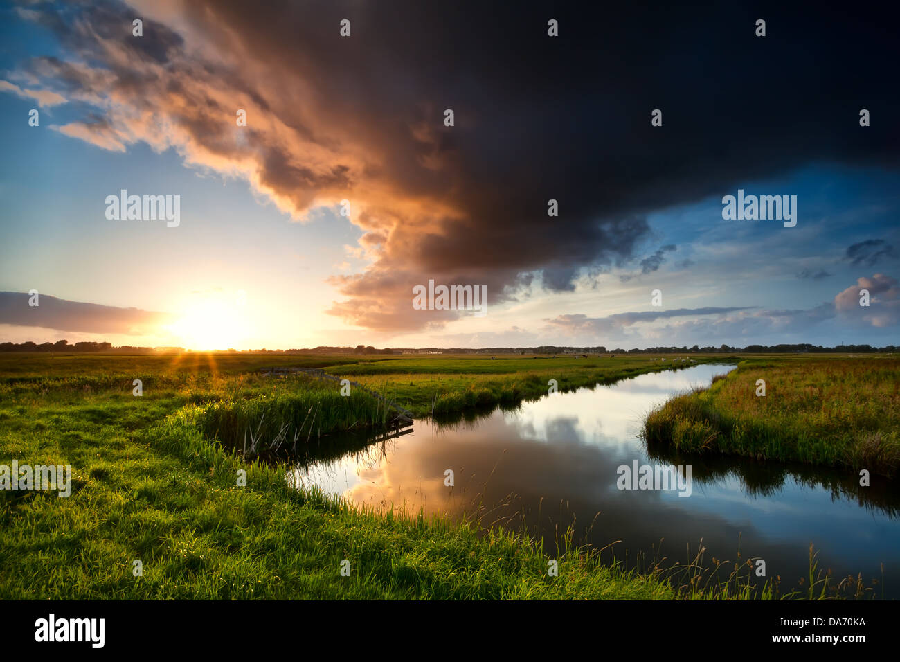Yellow star holland hi-res stock photography and images - Alamy