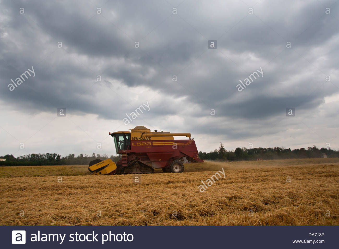 Rice Field Italy High Resolution Stock Photography and Images - Alamy