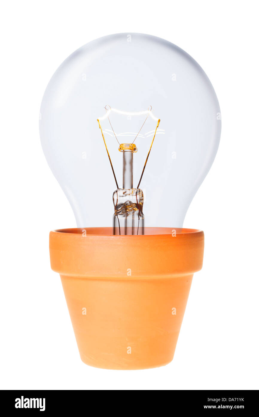 Growing Ideas Light Bulb in Flower Pot with Clipping Path Stock Photo ...
