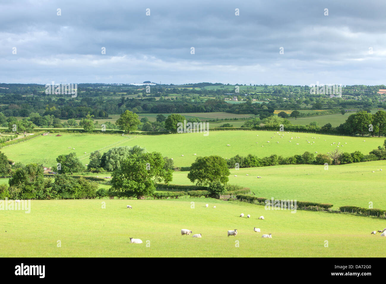 A Summers day across Worcestershire countryside, England, UK Stock ...