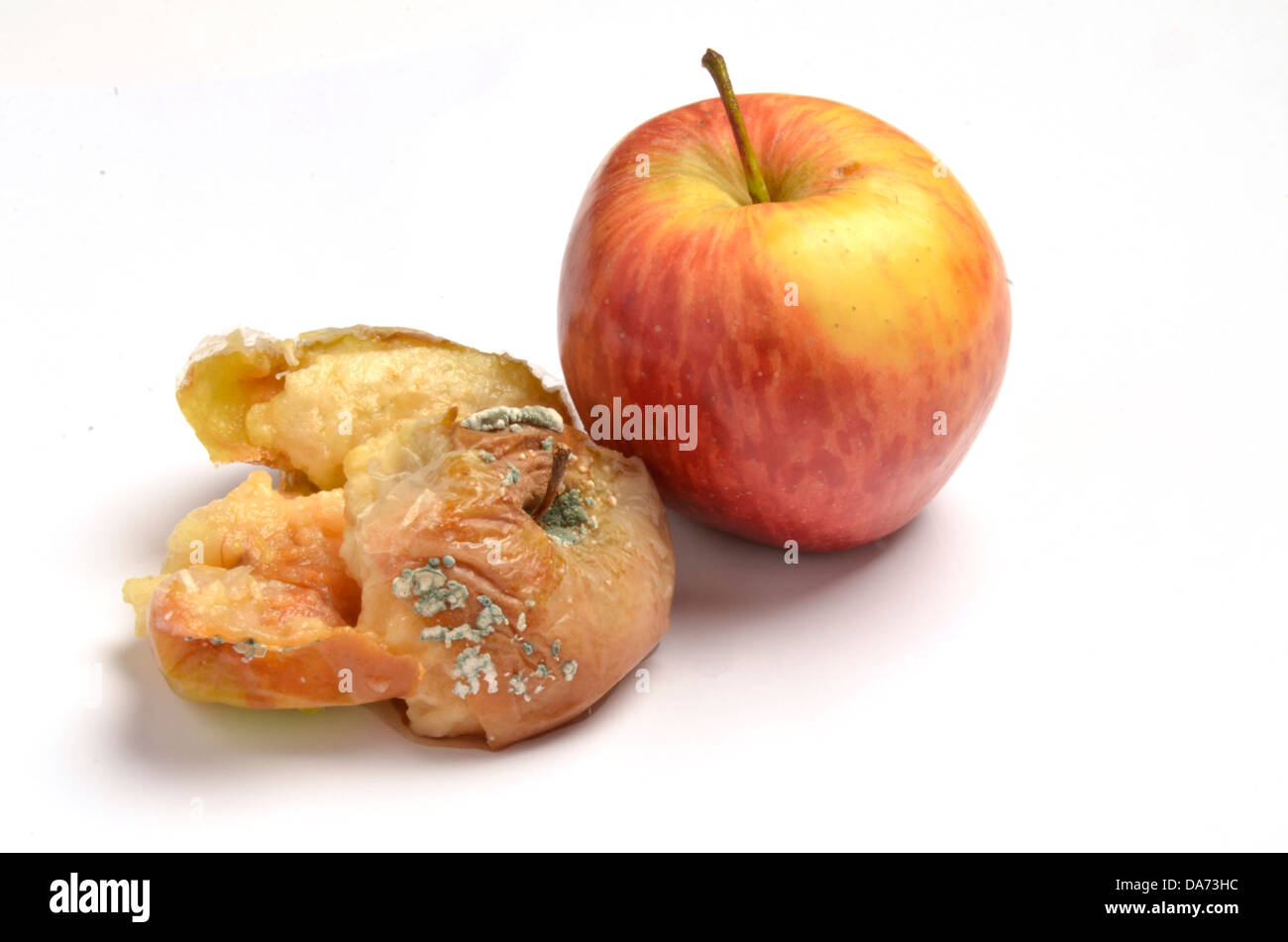 Rotting Apple Comparison 7,247 Rotten Apple Stock Photos Free