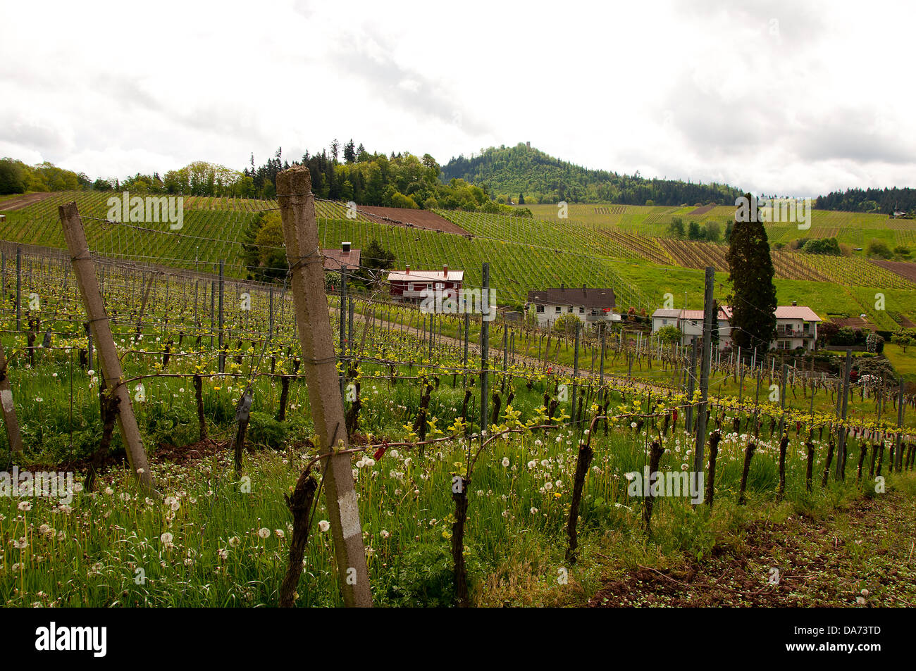 Steinbach valley hi-res stock photography and images - Alamy