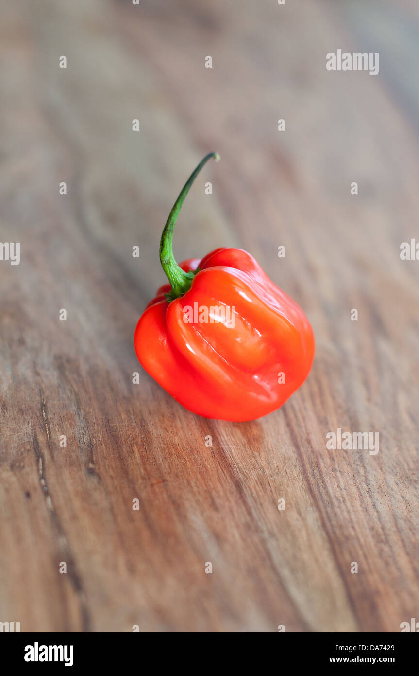 Red Habanero chilli pepper on wooden background Stock Photo - Alamy