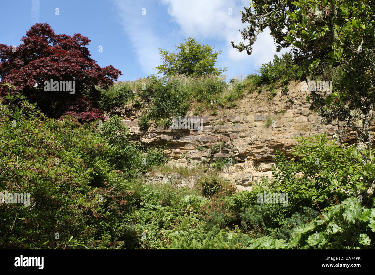 The Quarry garden at Scotney Castle, Kent Stock Photo - Alamy