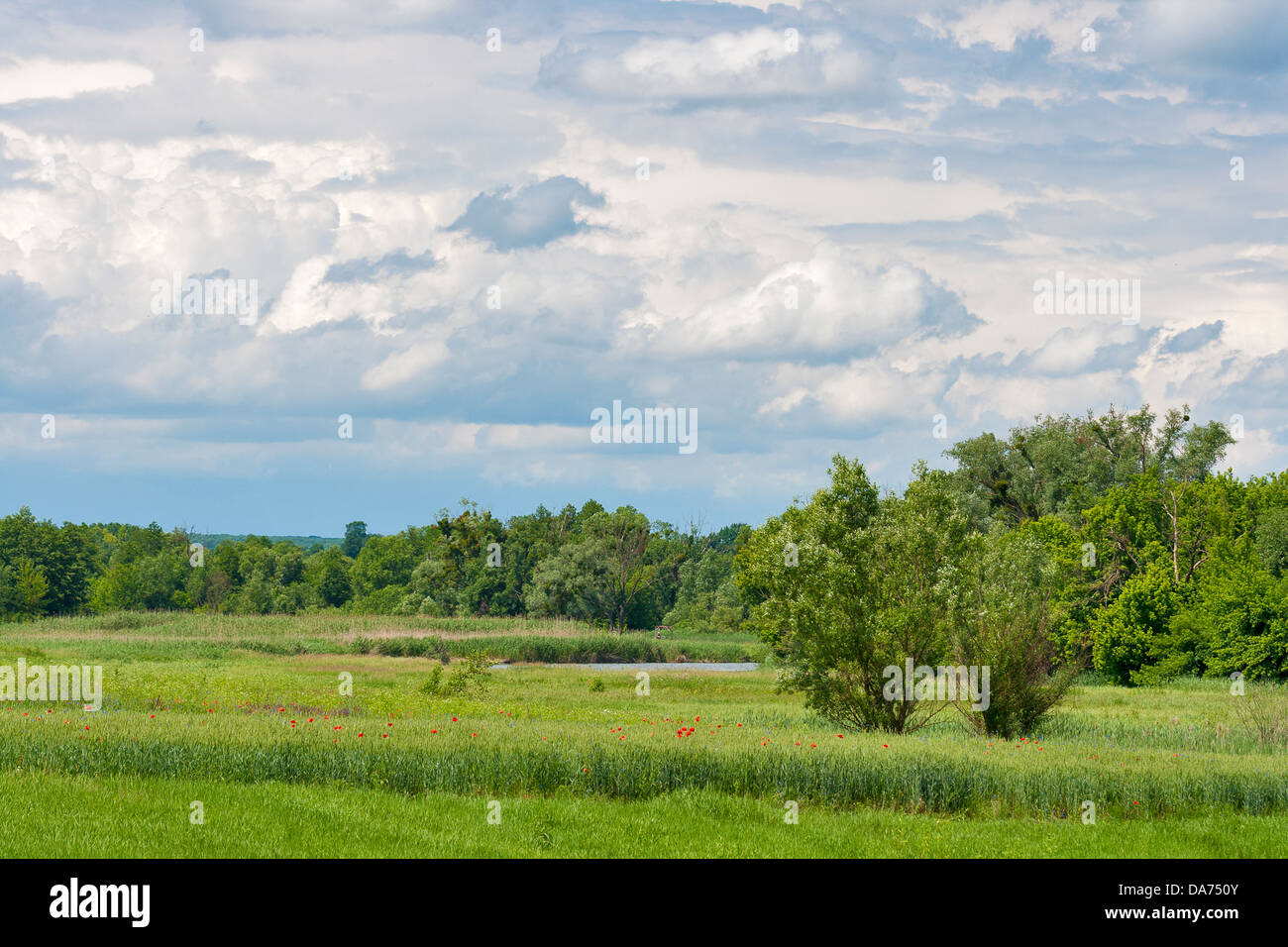 Rural landscape with river hi-res stock photography and images - Alamy