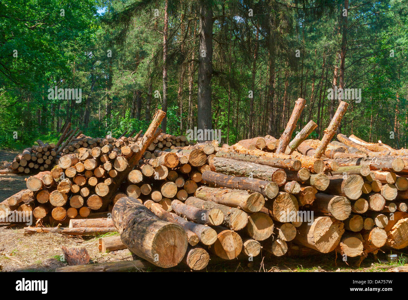 Log industry hi-res stock photography and images - Alamy
