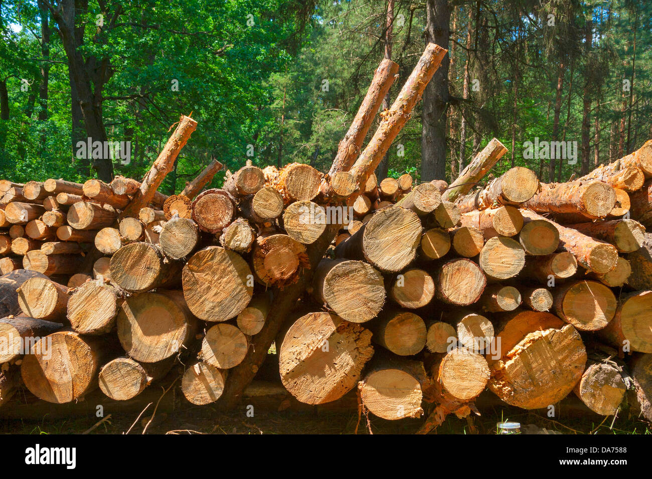 Log industry hi-res stock photography and images - Alamy