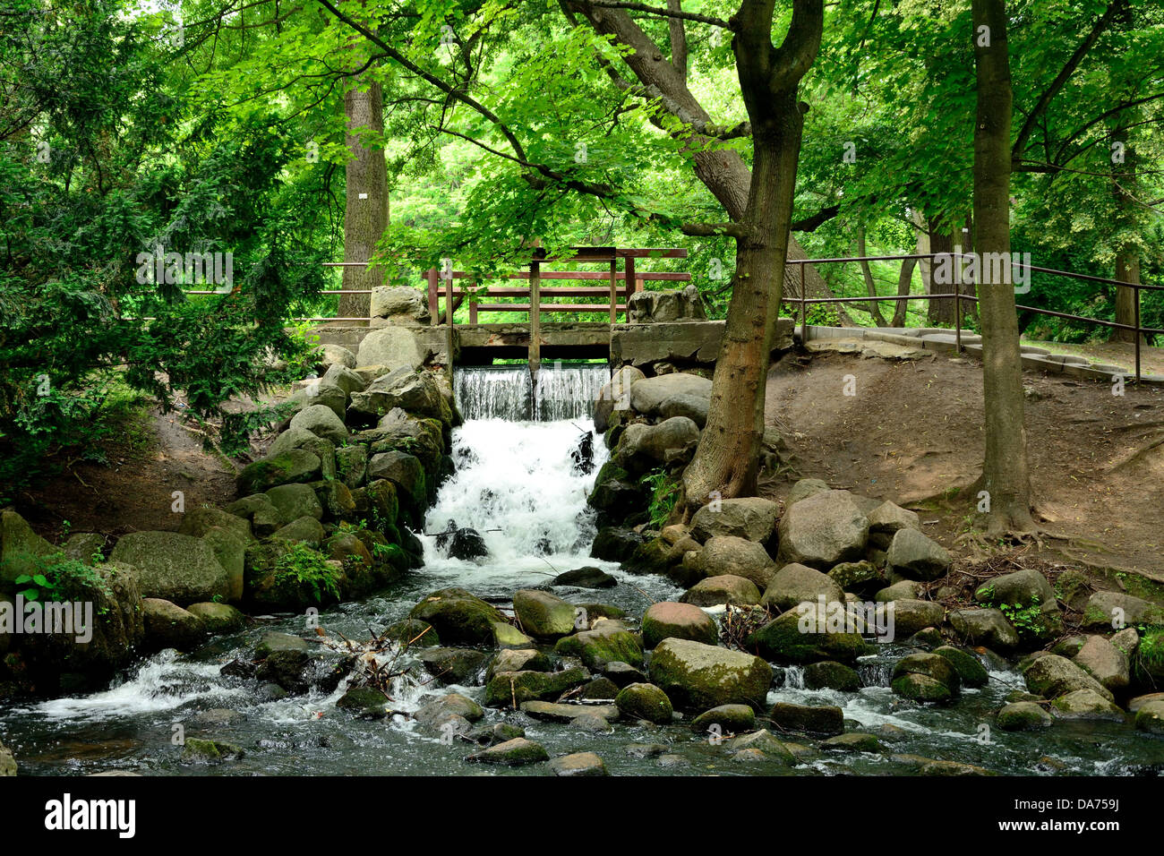 Water fall in the park during summer time Stock Photo - Alamy