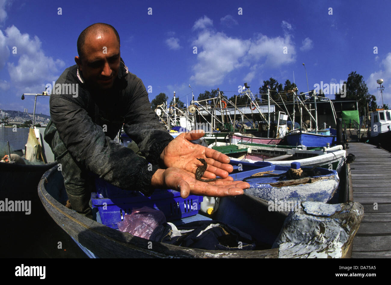 An Israeli Arab fisherman shows a small seahorse he captured in the sea ...