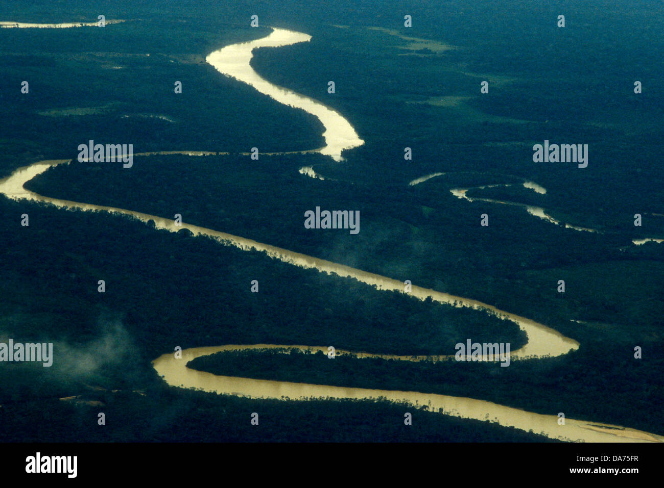 Aerial view of Amazon rain forest Brazil. River and jungle dense ...