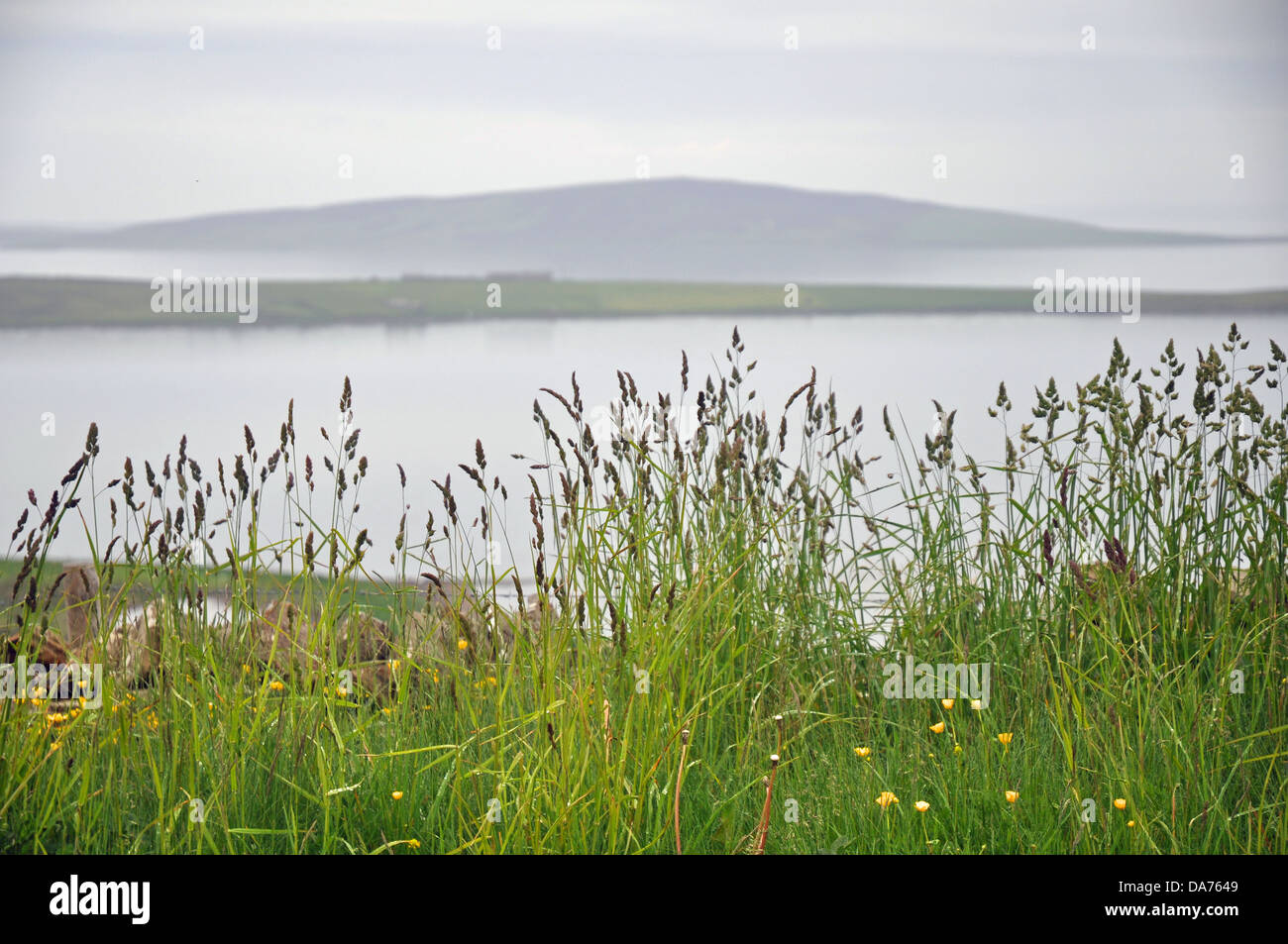 The island of Hoy in The Orkney Islands Stock Photo - Alamy