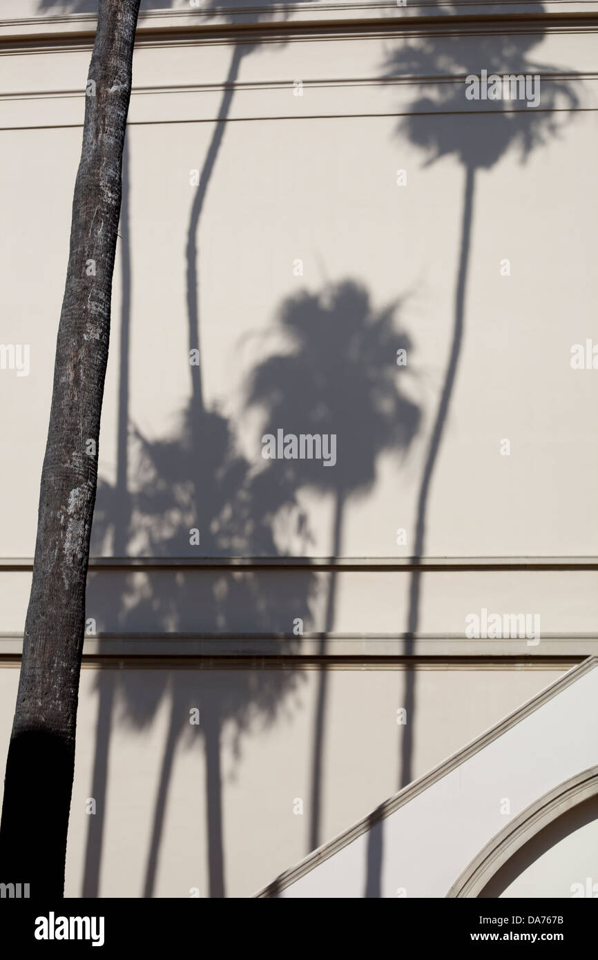 Los angeles palm hi-res stock photography and images - Alamy