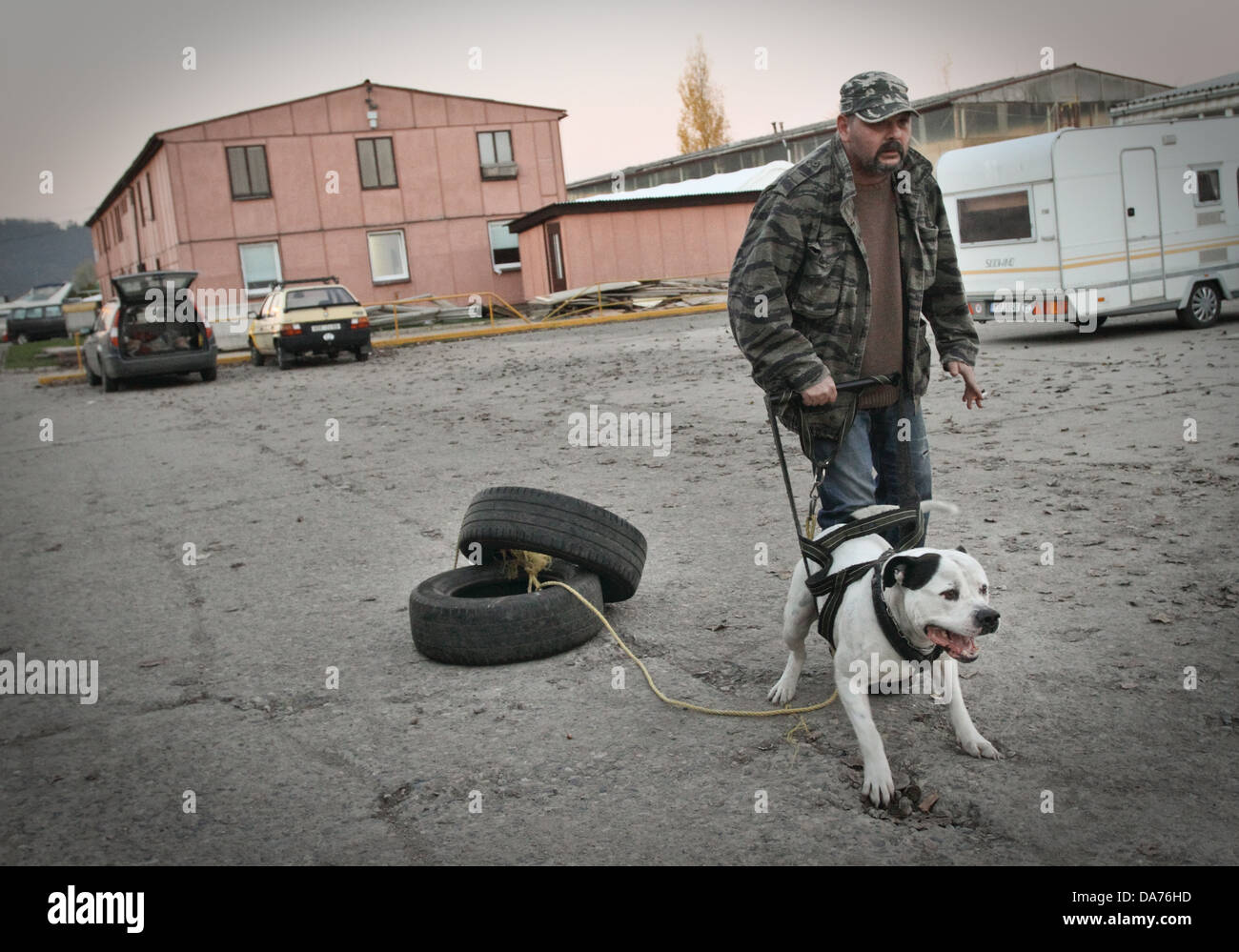 Man Bulldog High Resolution Stock Photography and Images - Alamy
