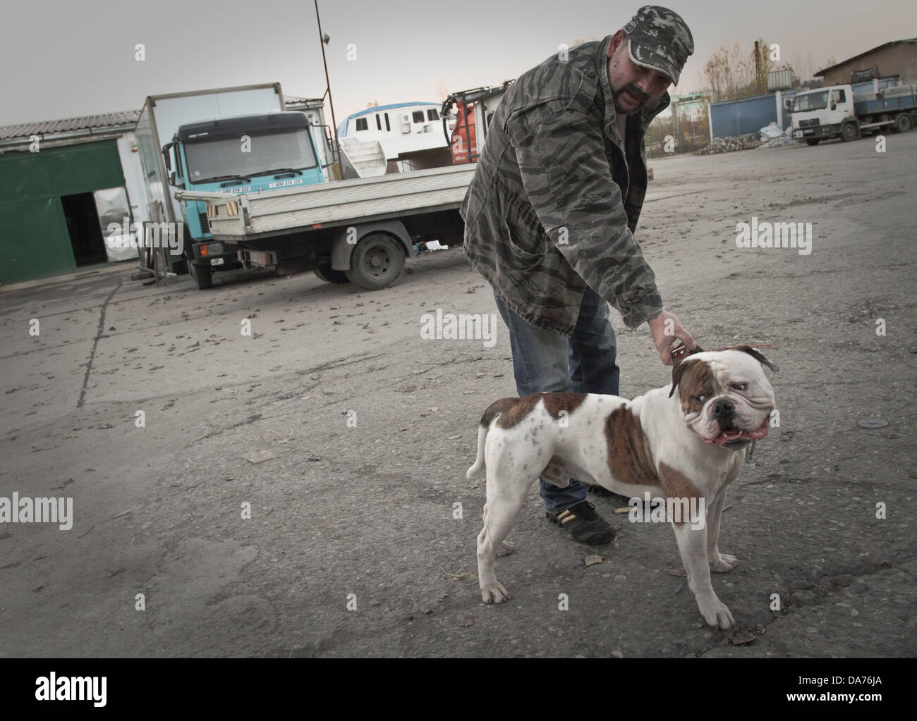man and an American Bulldog Stock Photo - Alamy