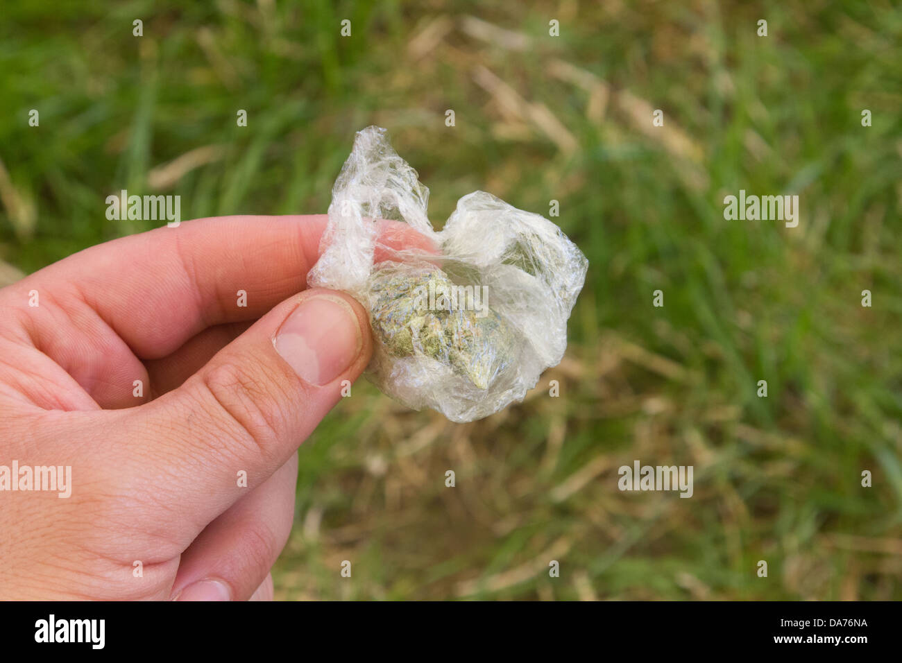 10 grams (£20) of Skunk a potent variety of herbal Cannabis, also known ...