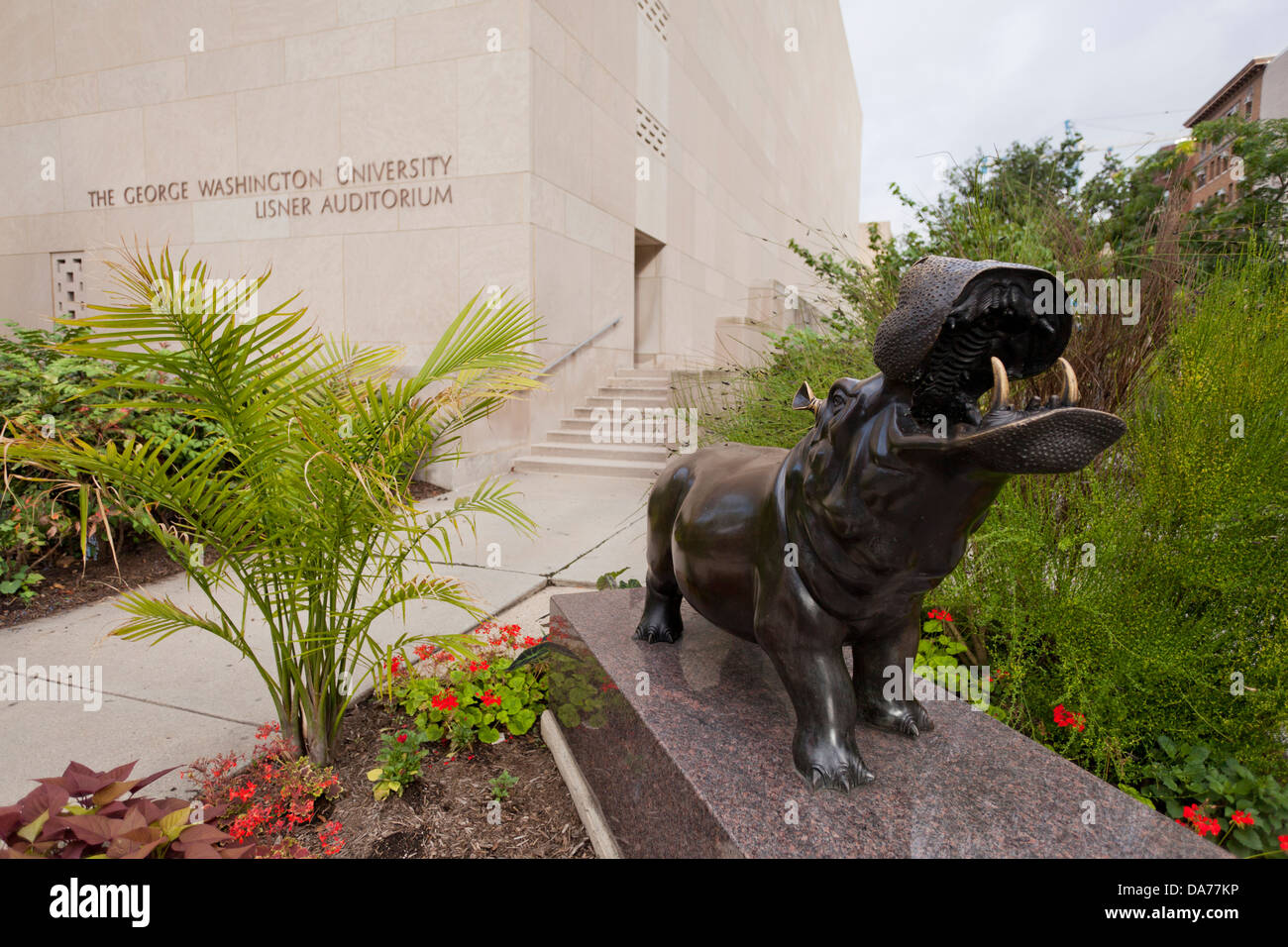 George Washington University's unofficial mascot the Hippo Stock Photo ...