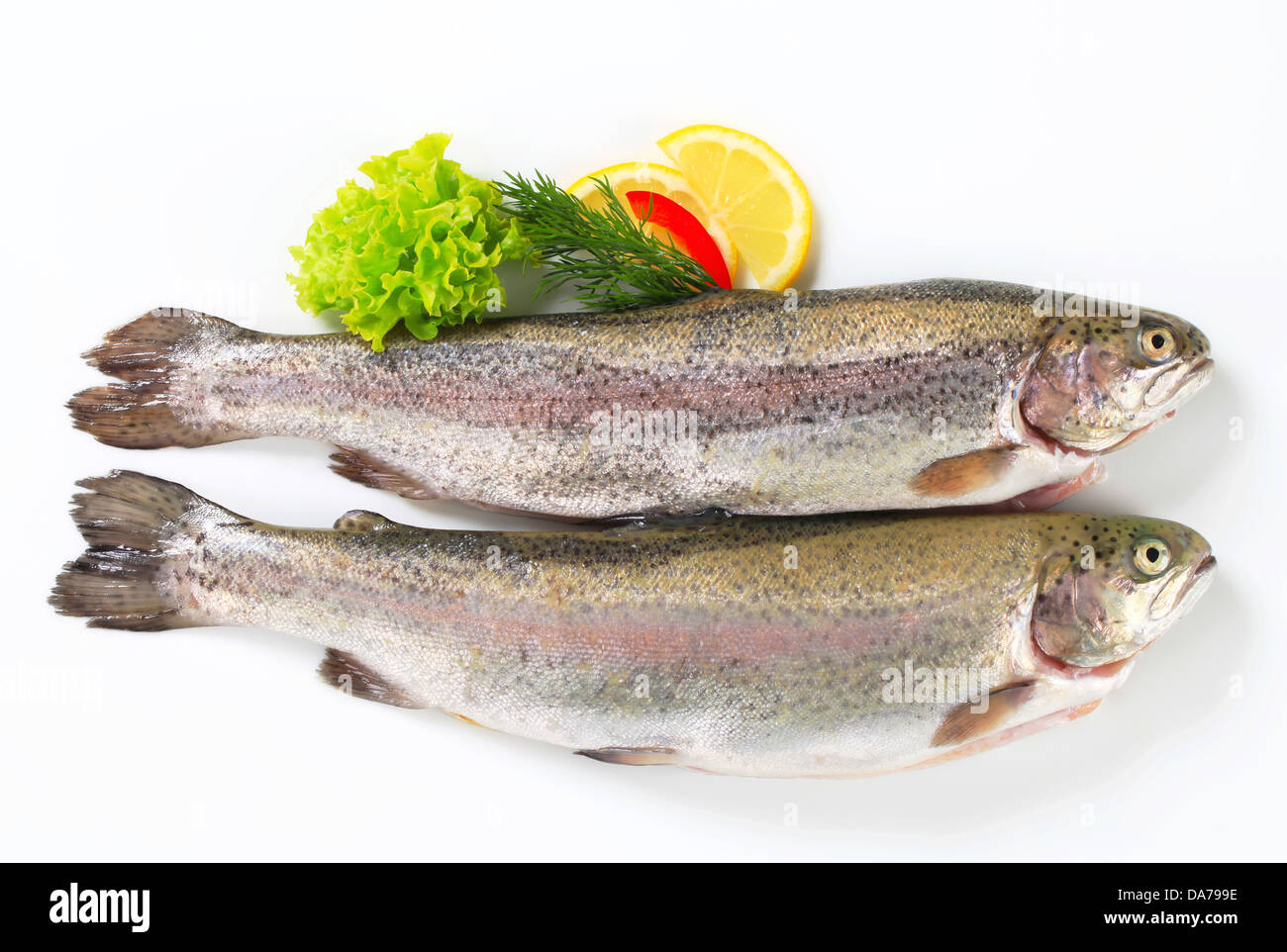 Rainbow trout fresh hi-res stock photography and images - Alamy