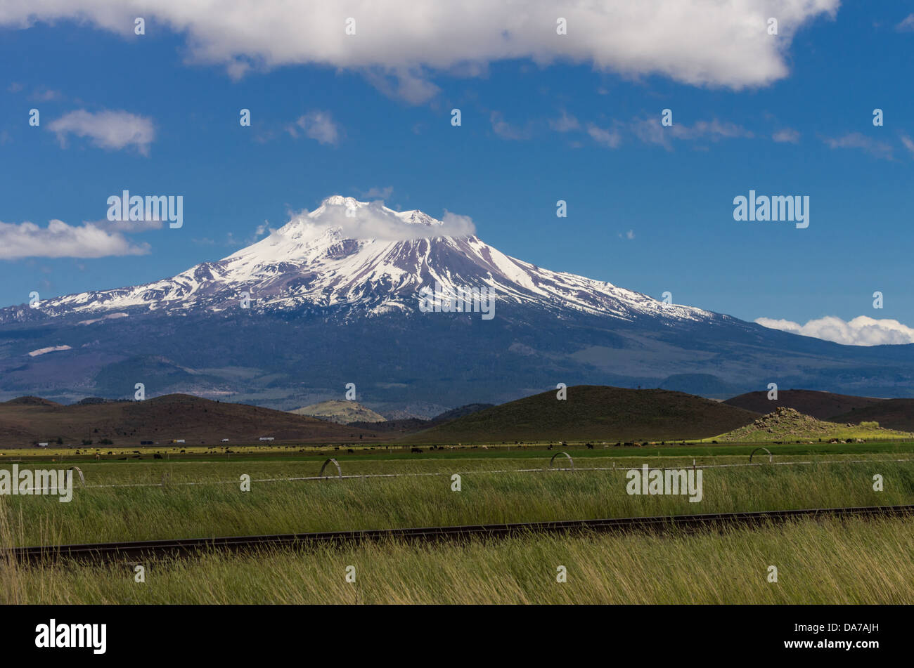 Grenada California United States. View of Mt Shasta showing irrigation ...