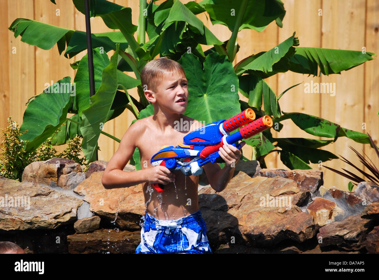 Play fight pool hi-res stock photography and images - Alamy