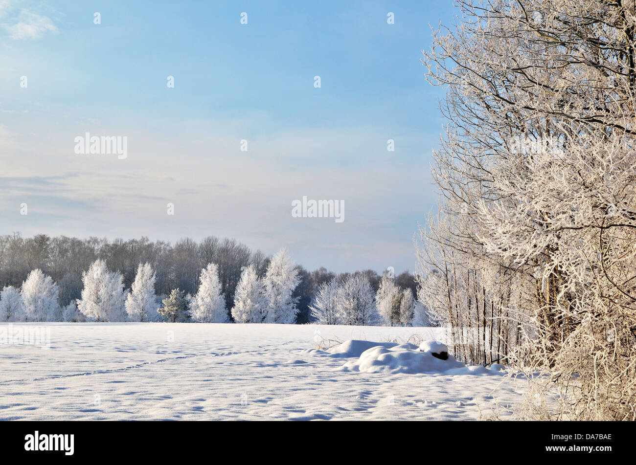 Roarfrost hi-res stock photography and images - Alamy