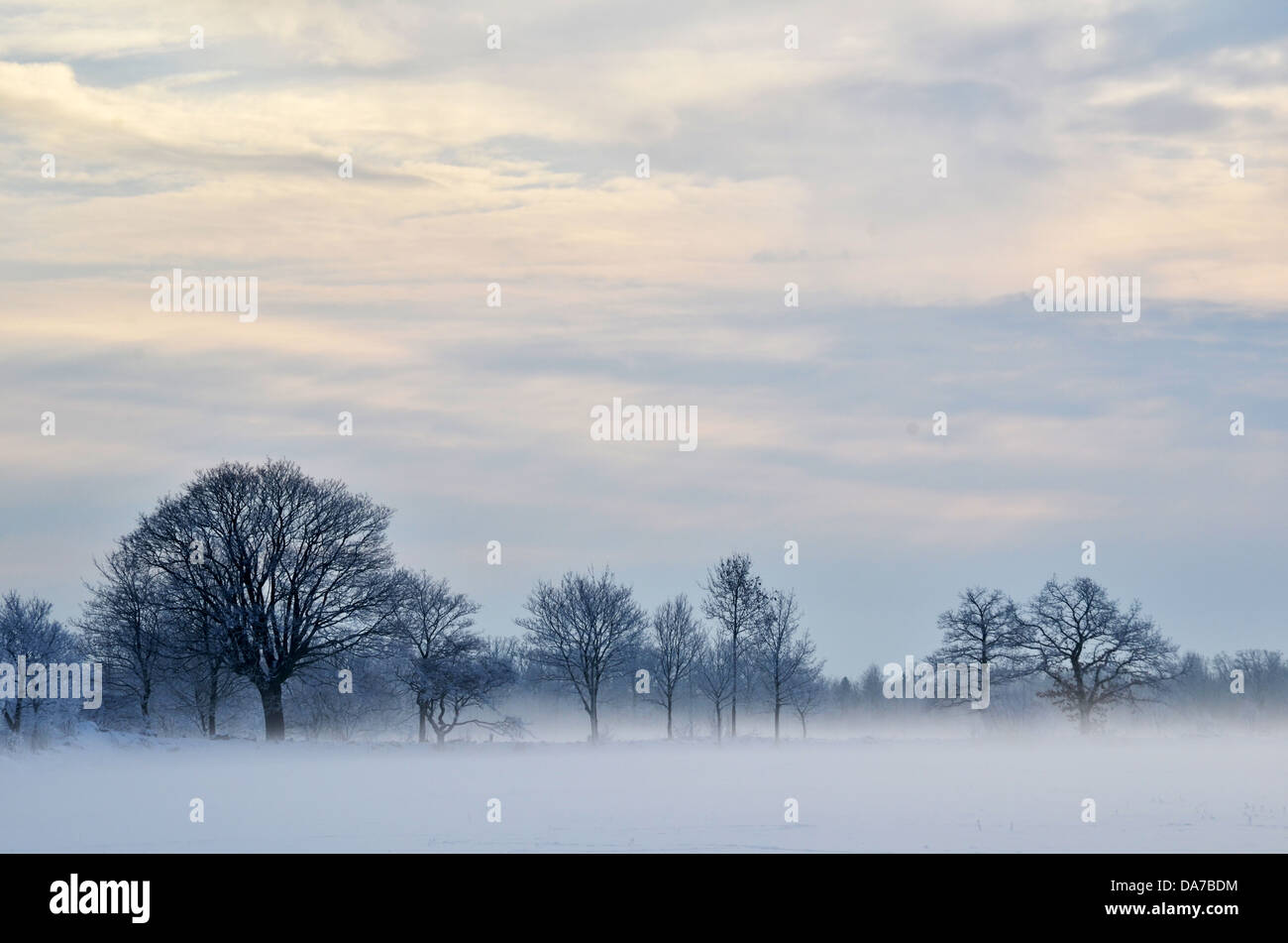 Misty and frosty day Stock Photo - Alamy