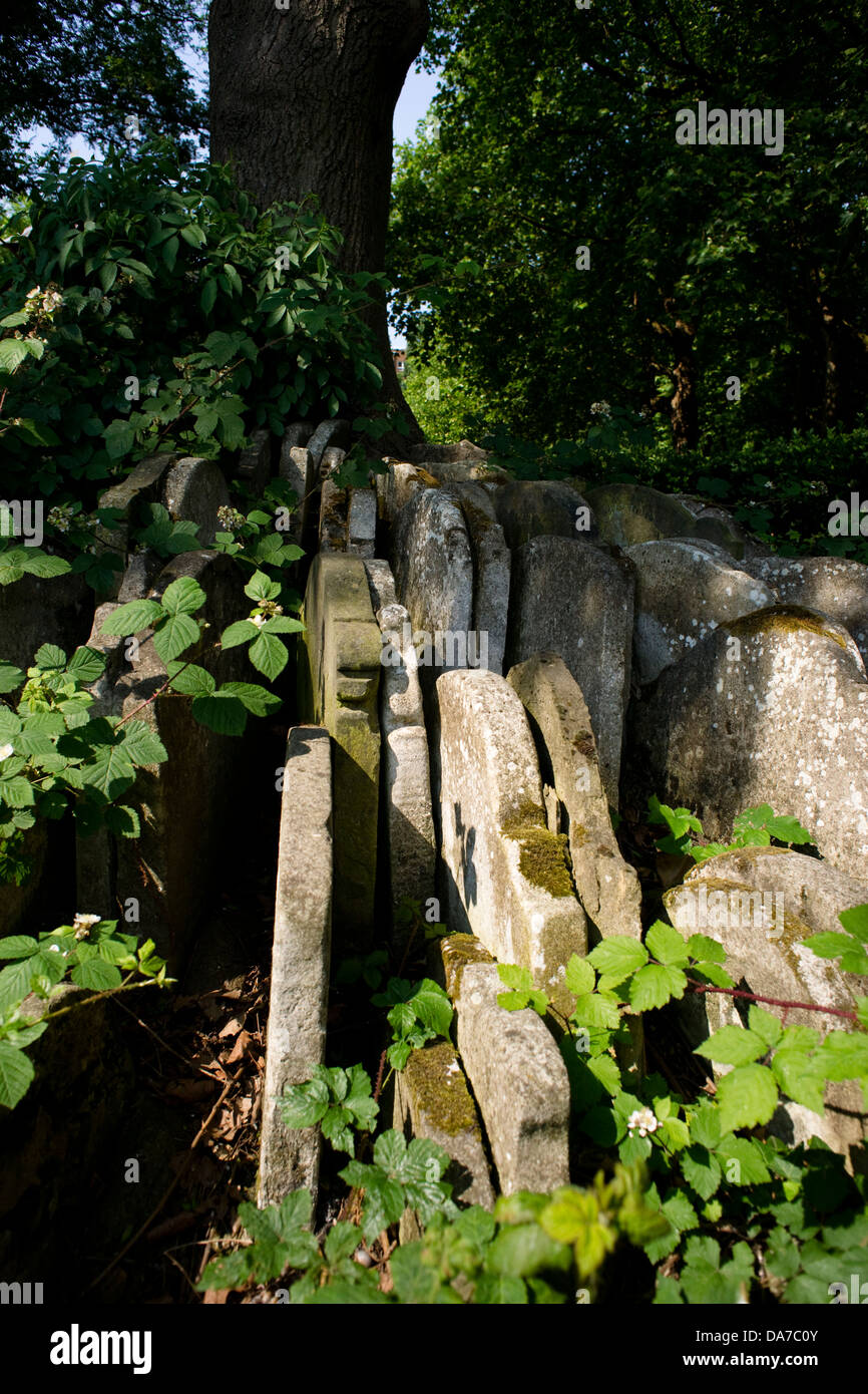 The Hardy Tree Stock Photo - Alamy