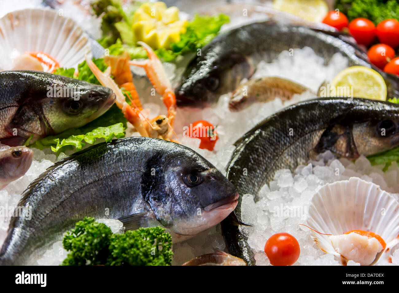 Food restaurant seafood shell hi-res stock photography and images - Alamy