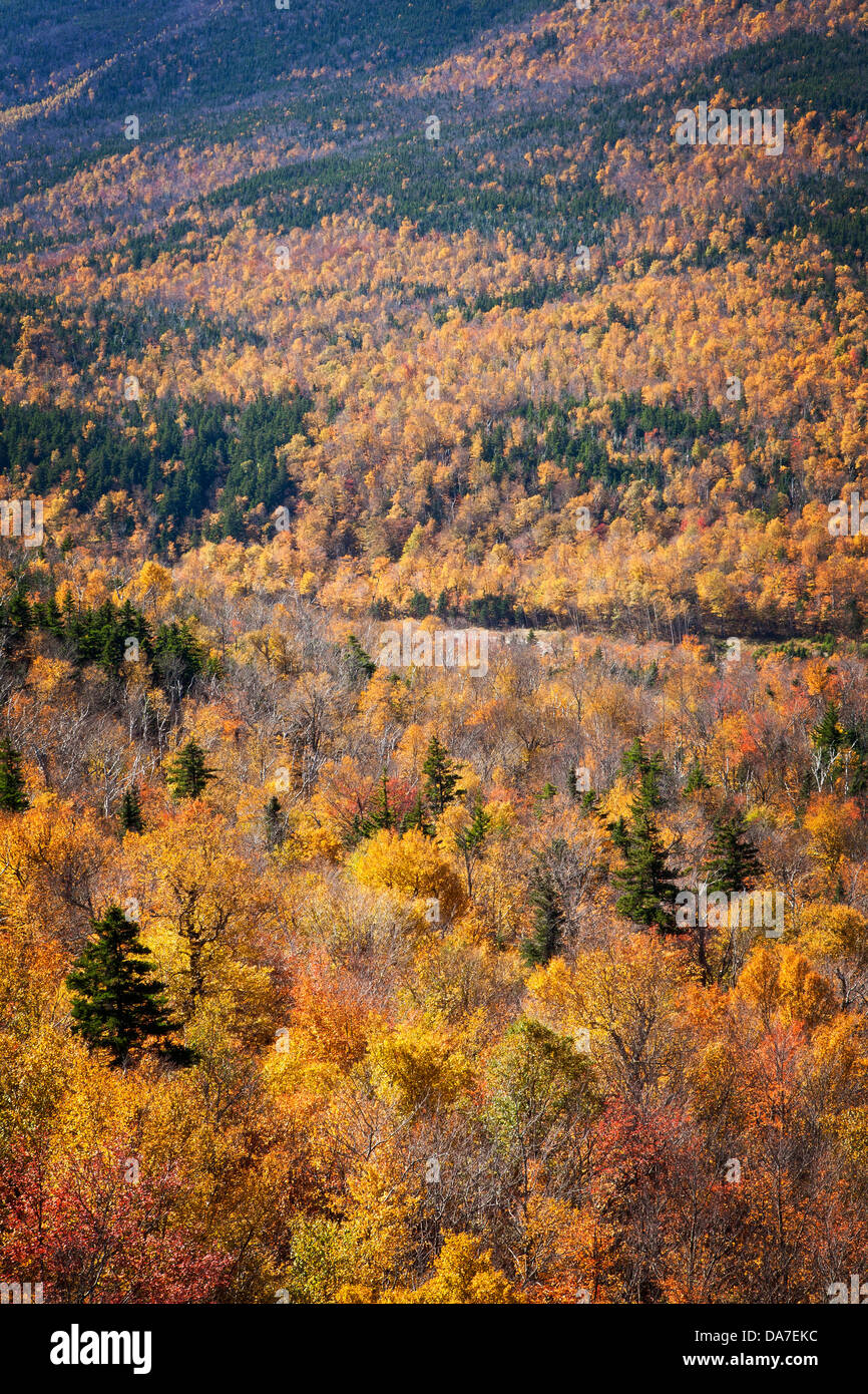 White Mountain fall splender around Pinkham Notch, New Hampshire Stock Photo - Alamy