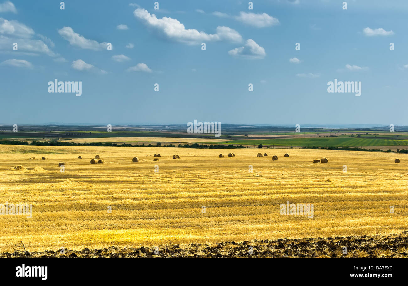 Boundless field hi-res stock photography and images - Alamy