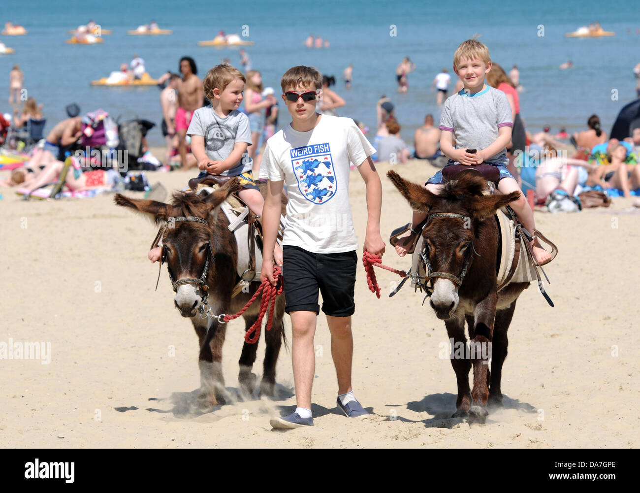 Donkeys On A Beach High Resolution Stock Photography And Images Alamy