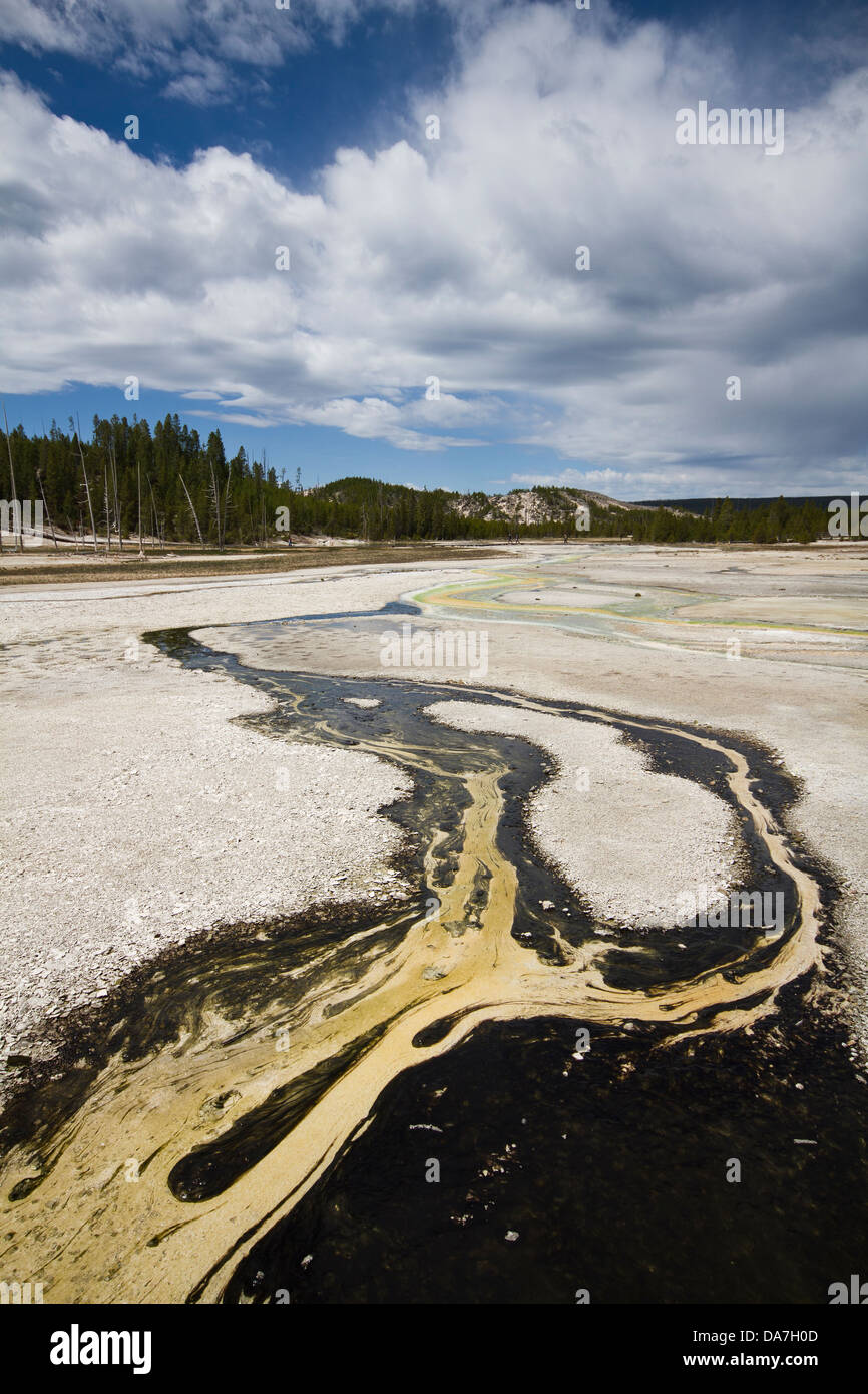 Pools of toxic bacteria flow around thermal geysers in Yellowstone Park ...