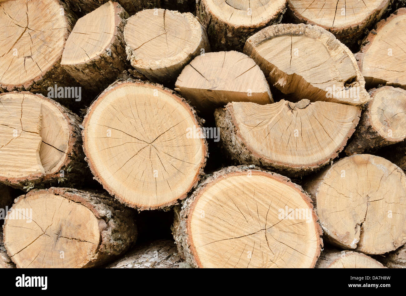 Chopped and stacked wooden logs for the fireplace Stock Photo - Alamy