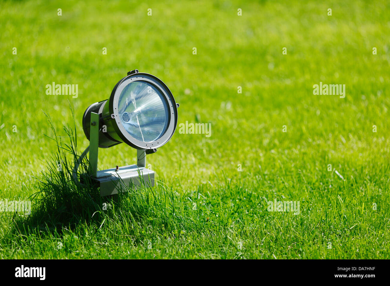 Spotlight on grass hi-res stock photography and images - Alamy