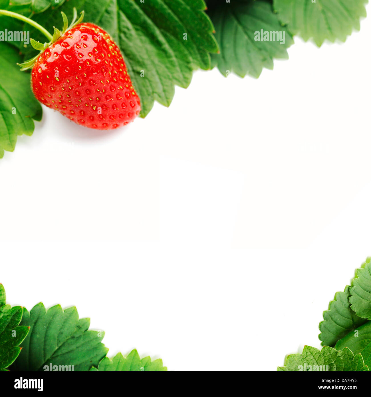 Strawberry frame with white copy space Stock Photo - Alamy