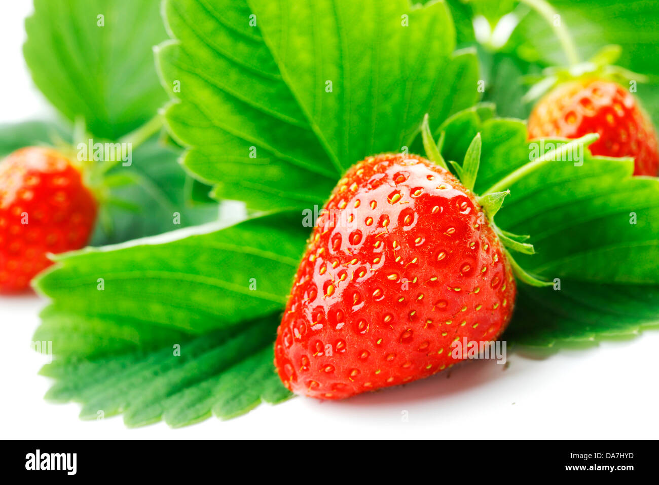 Strawberry with leaves isolated on white background Stock Photo - Alamy