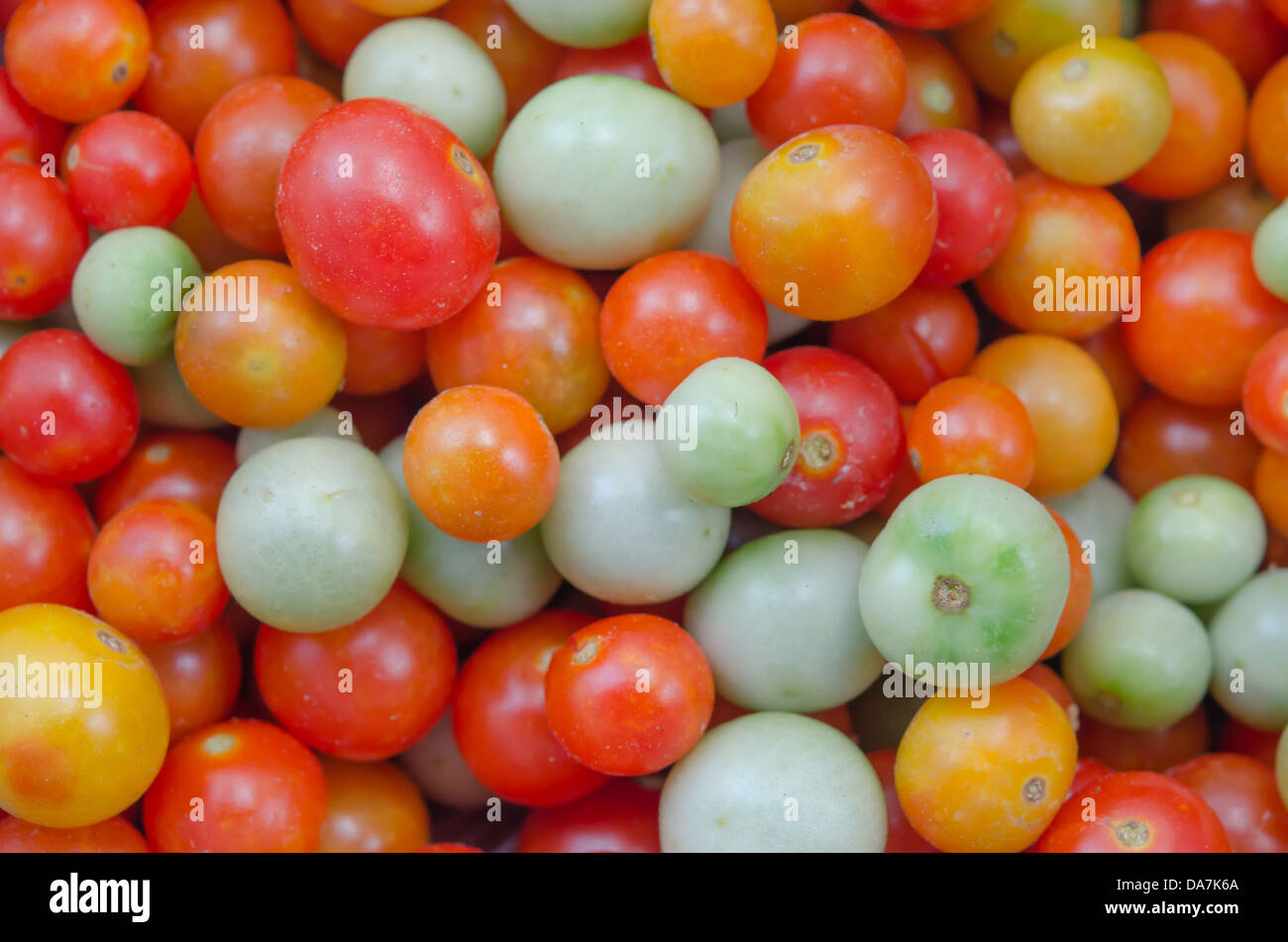 Mix tomato hi-res stock photography and images - Alamy