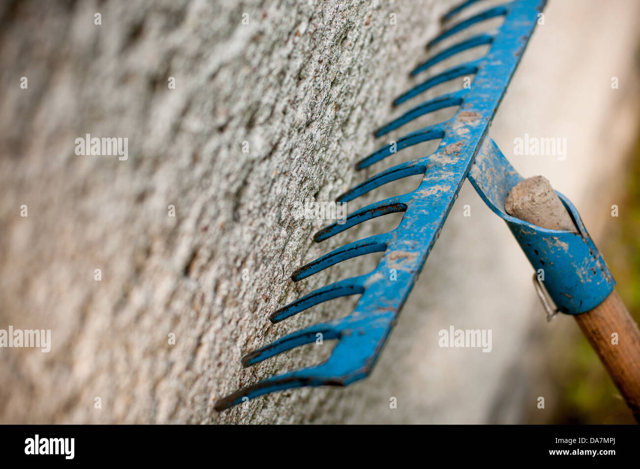 blue garden rake Stock Photo - Alamy