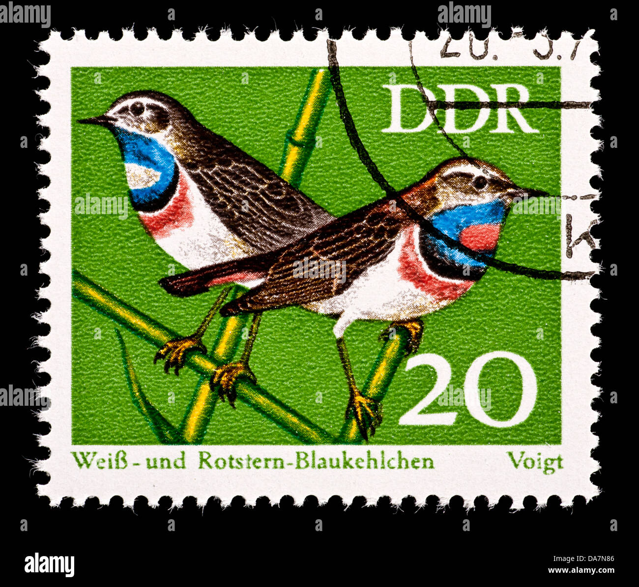 Postage stamp from East Germany depicting white-spotted and red-spotted ...