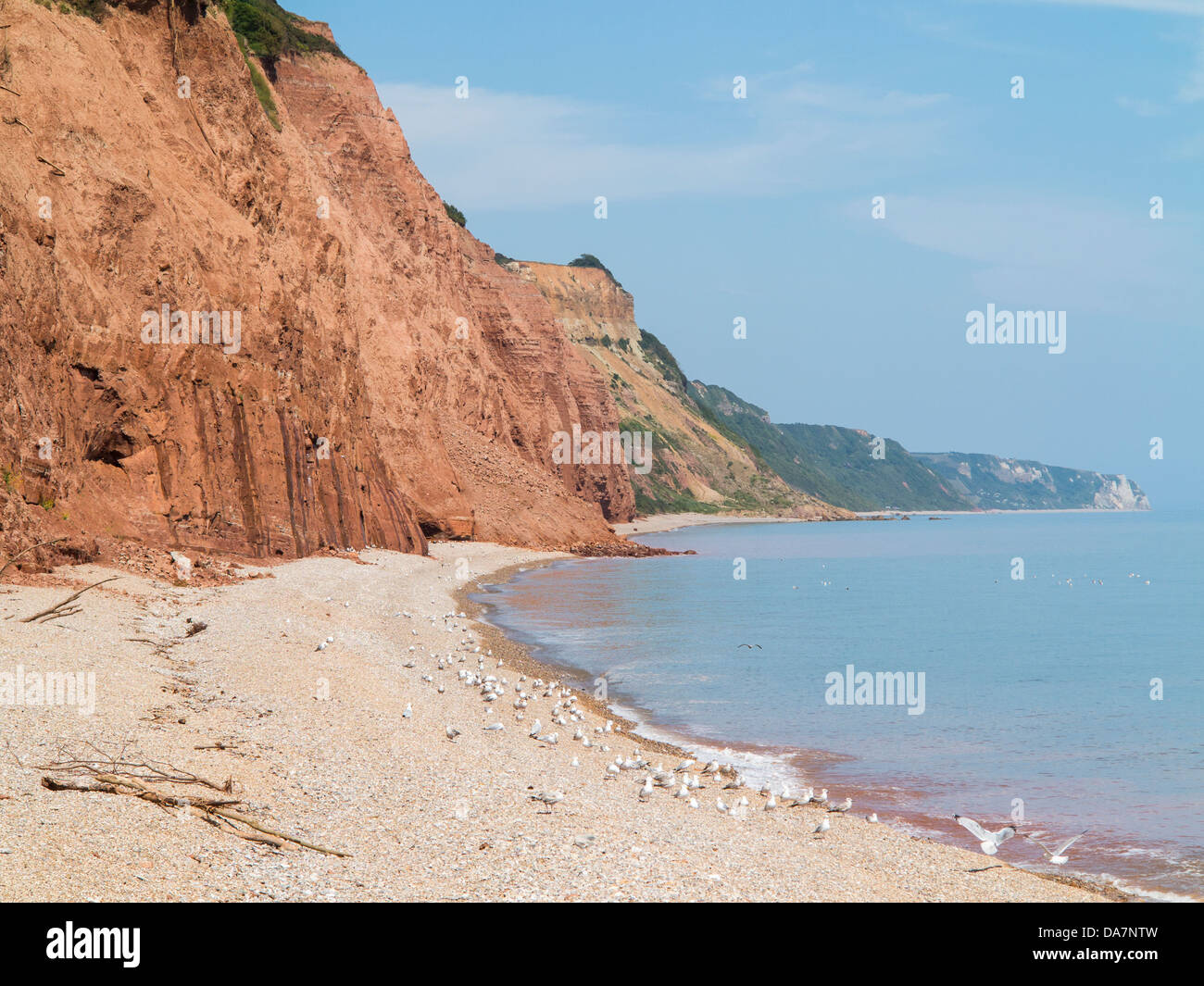Sidmouth cliff uk fall hi-res stock photography and images - Alamy
